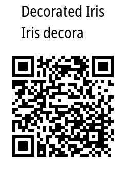 Iris decora - Decorated Iris